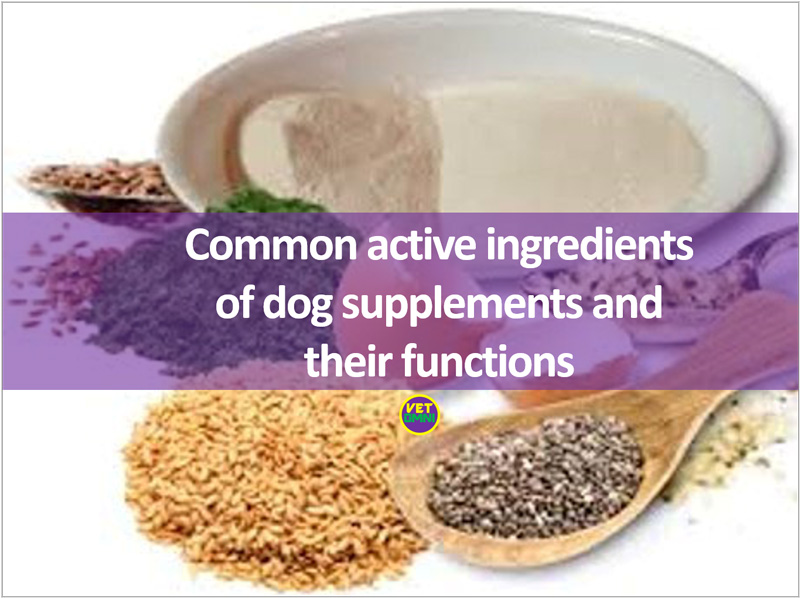 Common Active Ingredients of Dog Supplements and their Functions