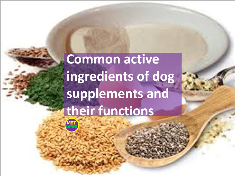 Common Active Ingredients of Dog Supplements and their Functions