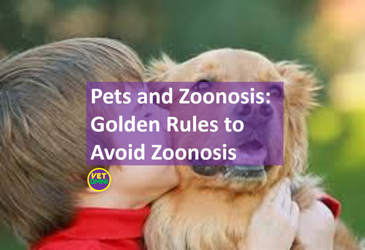 Pets and zoonosis: Golden rules to avoid zoonosis