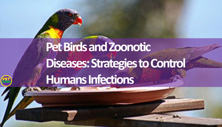 Pet Birds and Zoonotic Diseases: Strategies to Control Humans Infections