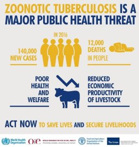 Bovine and zoonotic tuberculosis – a major health concern for animals ...
